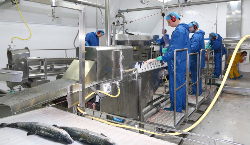 Visit to Scottish Sea Farms in South Shian, Scotland